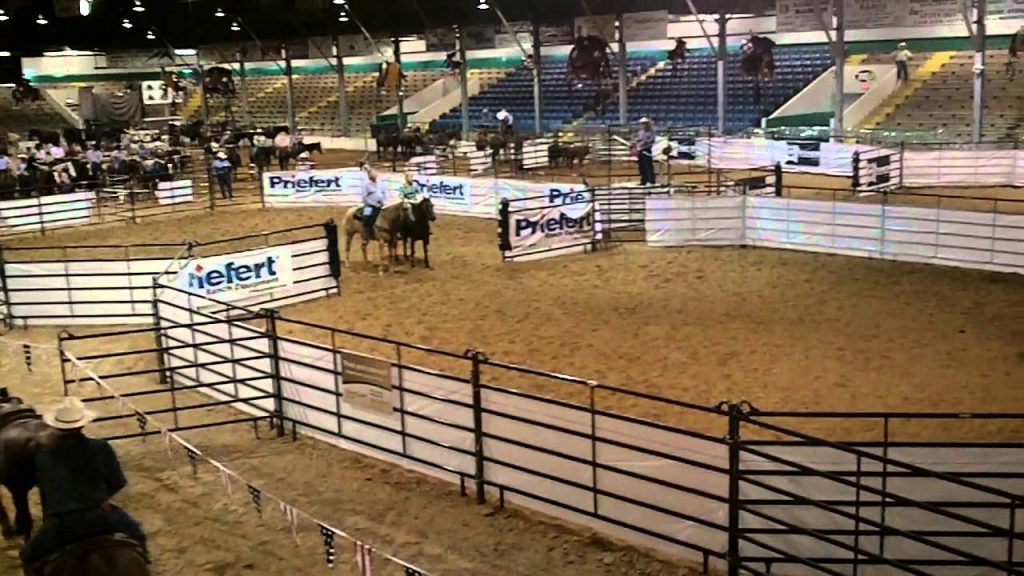 RSNC divulga pré-calendário para temporada 2018 - Cavalus