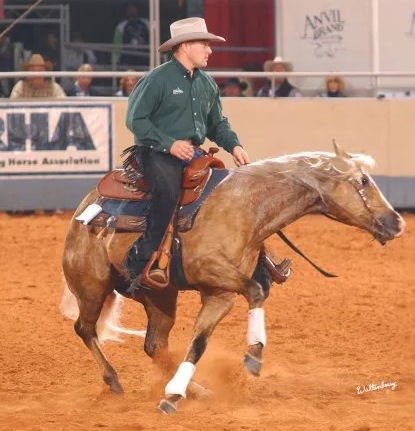 Xtra Quarter Horses, a casa do Wimpys Little Step - Cavalus