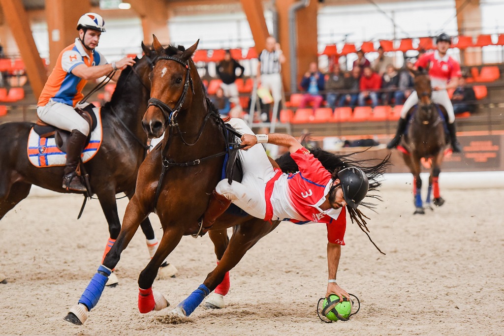 Fieracavalli é obrigatória no roteiro de qualquer apaixonado por ...