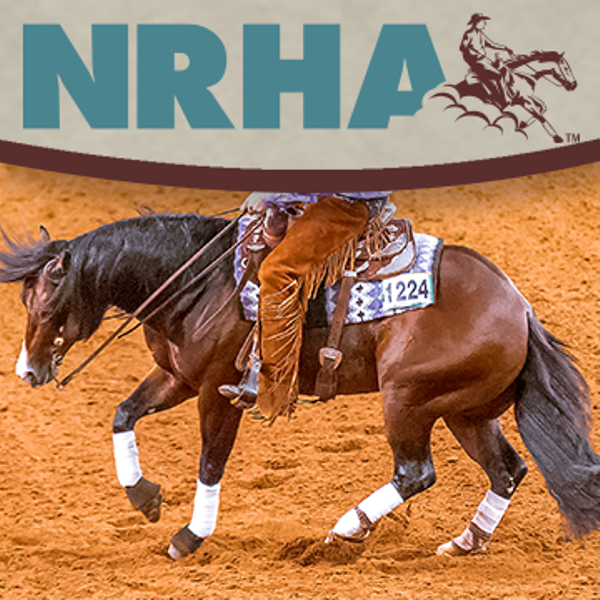 Dados históricos da National Reining Horse Association - Cavalus