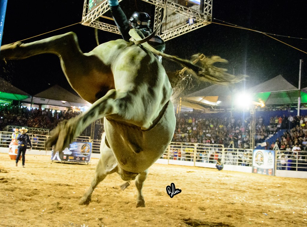Circuito Rancho Primavera totalmente reestruturado para 2018 - Cavalus