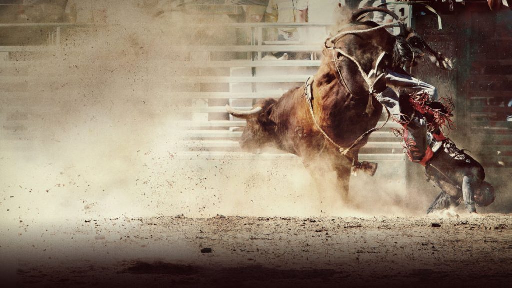 Fearless – 8 Segundos para a Glória - Cavalus