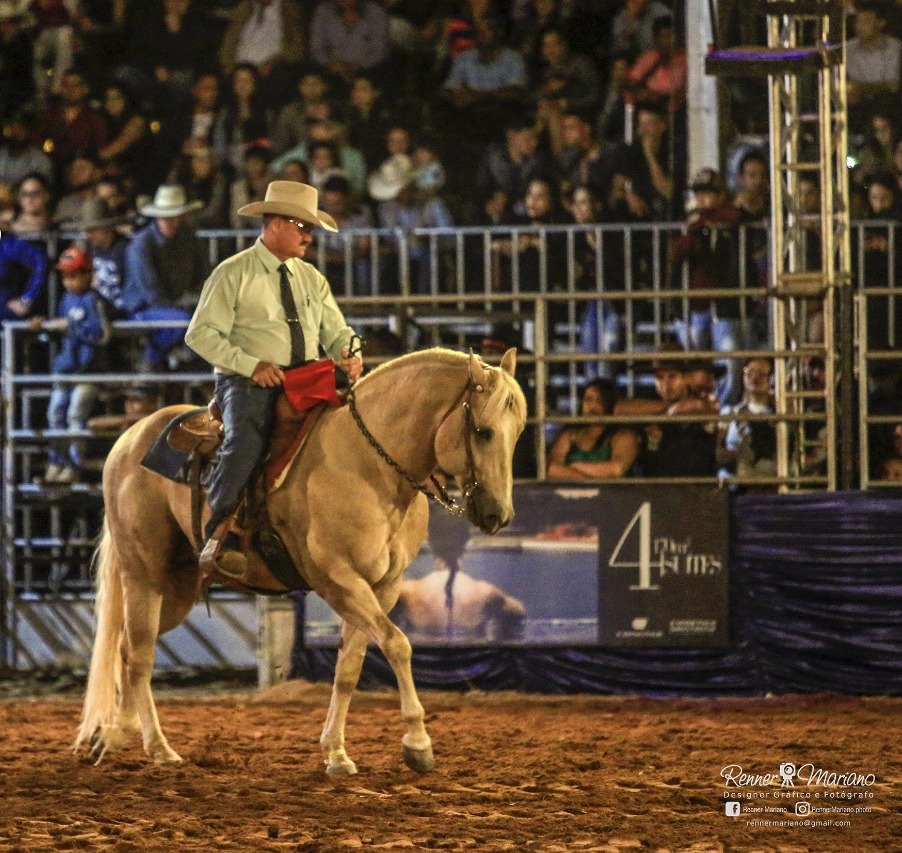1° Team Ropers Stars brilhou na arena do Rodeio goiano de Catalão - Cavalus