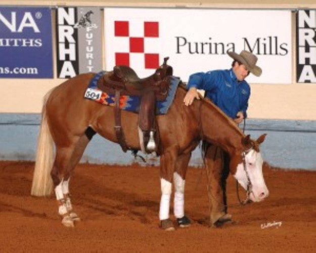 Gunner já produziu mais de US$ 10 milhões em Rédeas - Cavalus