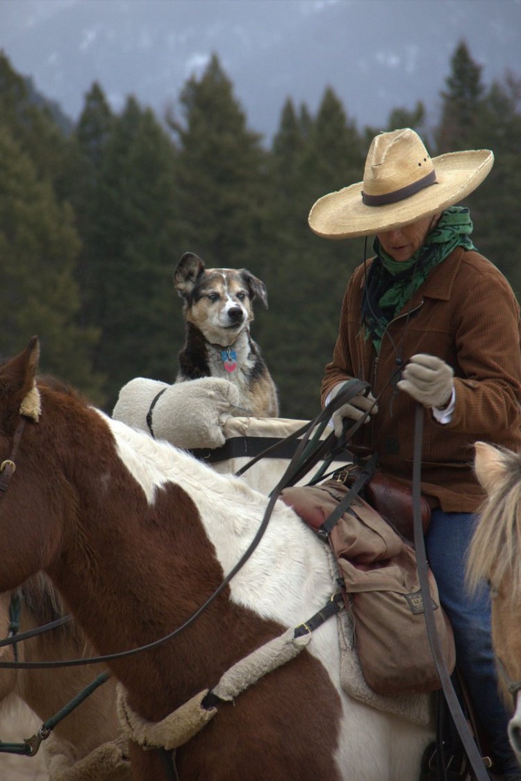 Bernice Ende 05 - Cavalus