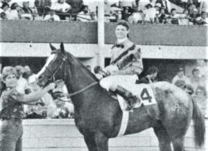 Brother Gene, da raça Apaaloosa, destaque na criação de Edward Allred ...