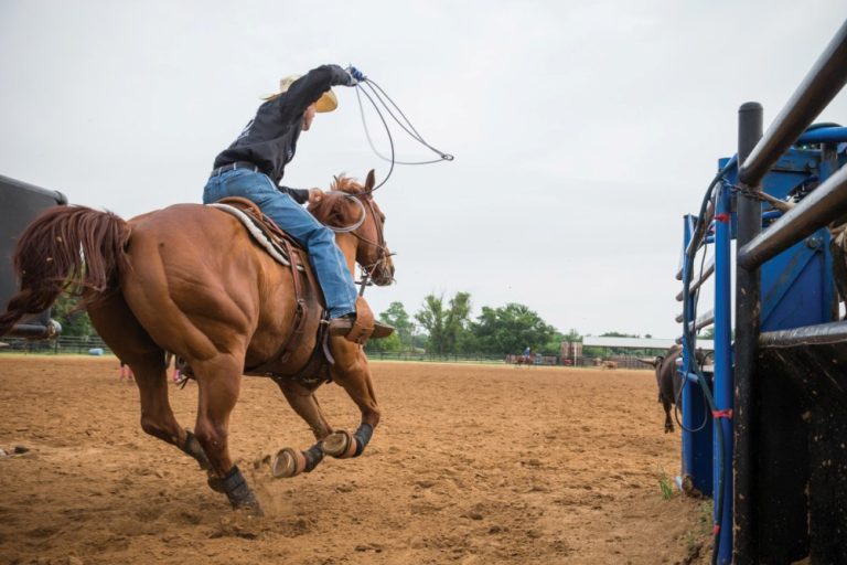 Dicas de Team Roping com Trevor Brazile - Cavalus