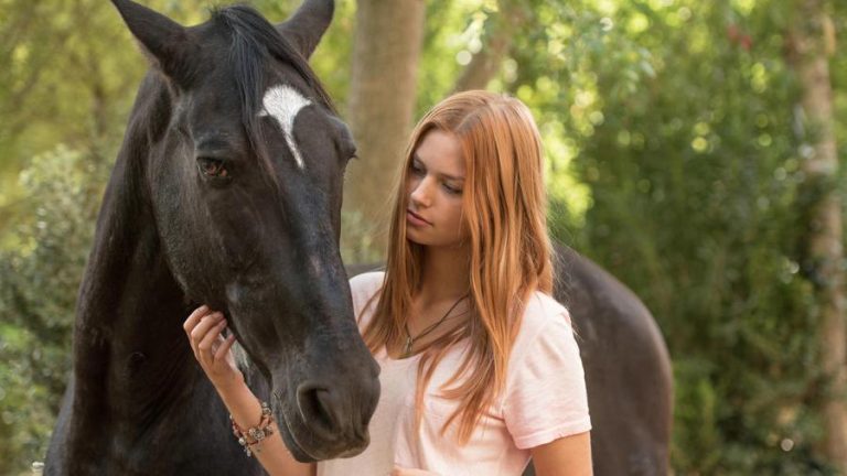 Ostwind 3: Aufbruch nach Ora - Cavalus