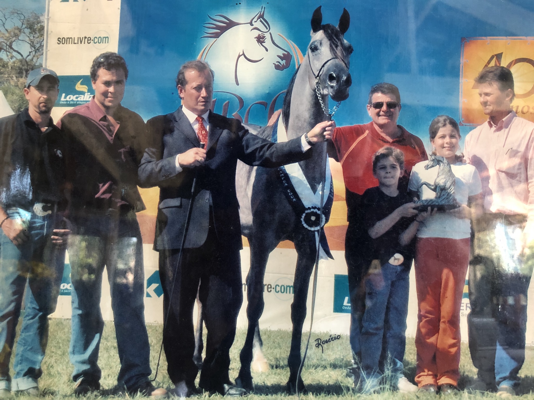 Haras Morab: há 32 anos se dedicando na criação do cavalo Árabe