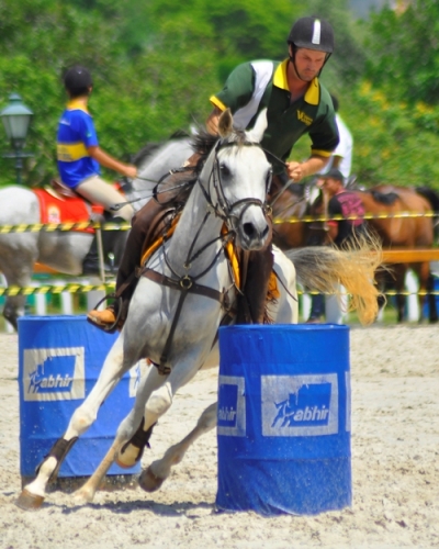Hipismo Rural uma das modalidades praticadas pelo Cavalo Árabe ...