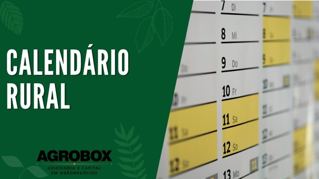 Você sabe qual é a importância do calendário rural? - Cavalus