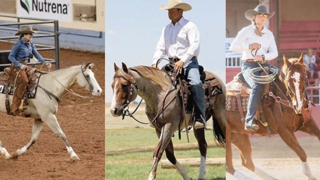 Tipos de rédeas: você conhece todos? - Cavalus