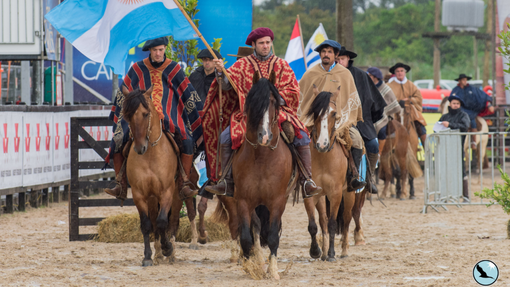 ABCCC cancela 16ª Expo FICCC 2021 - Cavalus