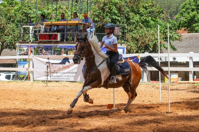 Cavalo Árabe mostra sua funcionalidade na 2ª Etapa de Salto e Hipismo ...