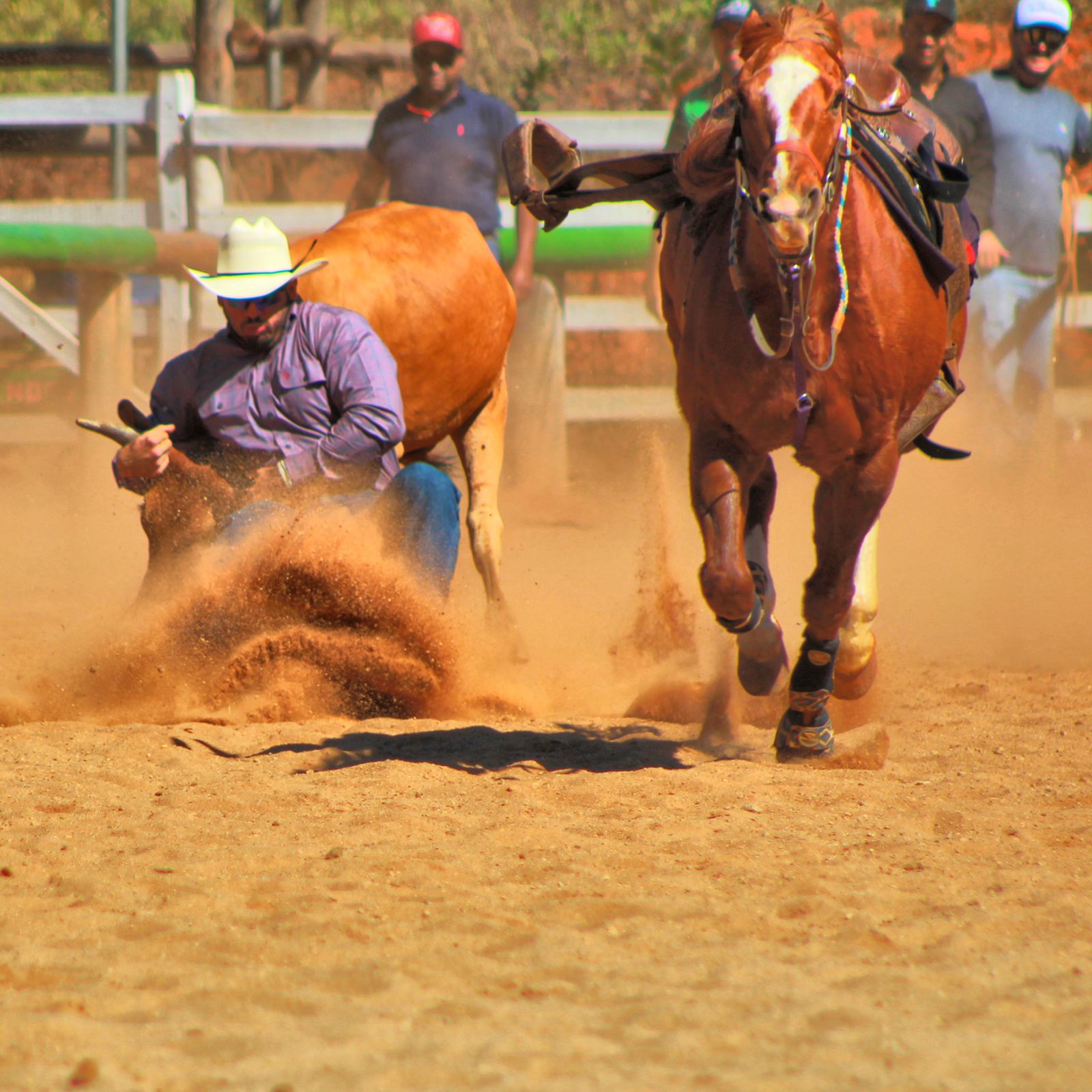 Concurso Mundial de La Mujer Vaquera teve Brasil entre as participantes ...