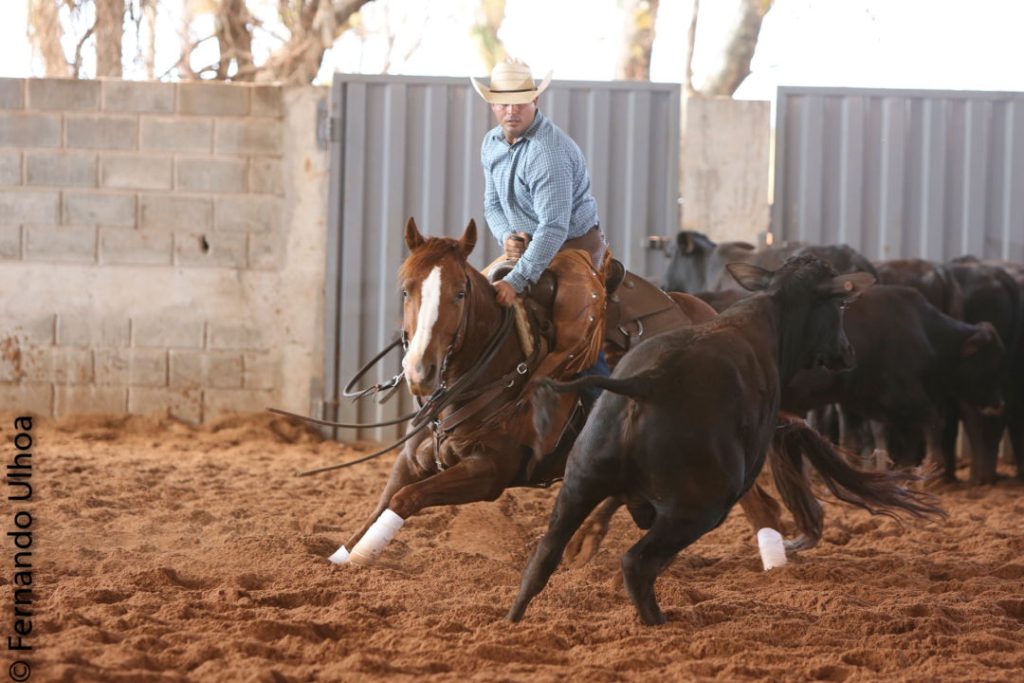 Premiação recorde marca a 1ª Etapa do Campeonato Mineiro 2022/2023 de ...
