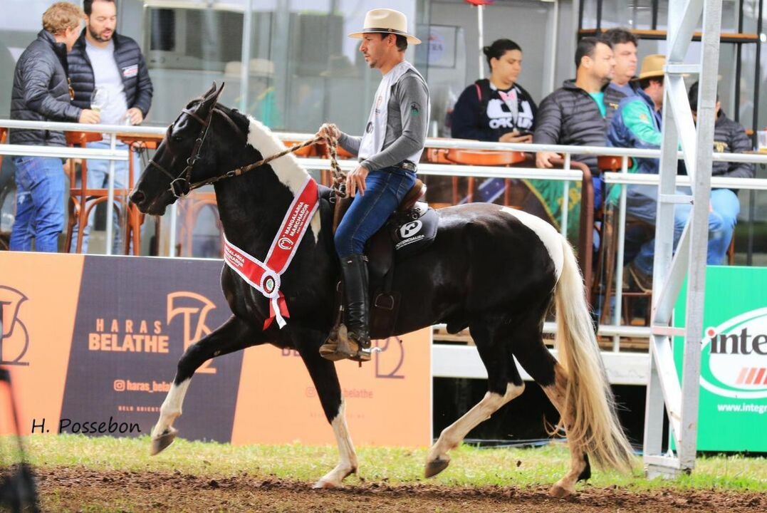 Maior competição de Marcha Picada do Brasil será no interior de São Paulo