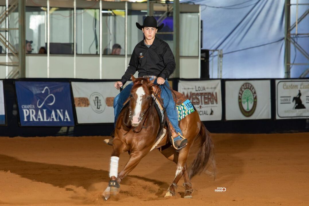 Programa de Nominação de Potros é oportunidade para valorizar o animal ...