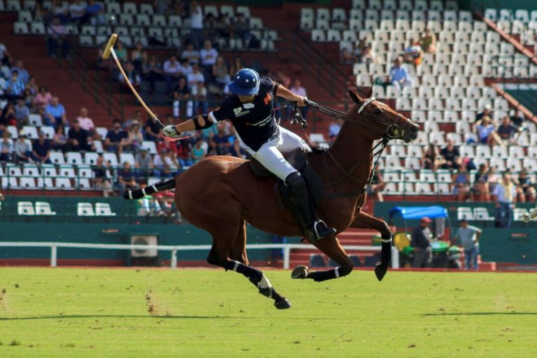 Polo: Argentina é destaque internacional no esporte