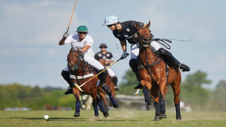 Polo: Argentina é destaque internacional no esporte