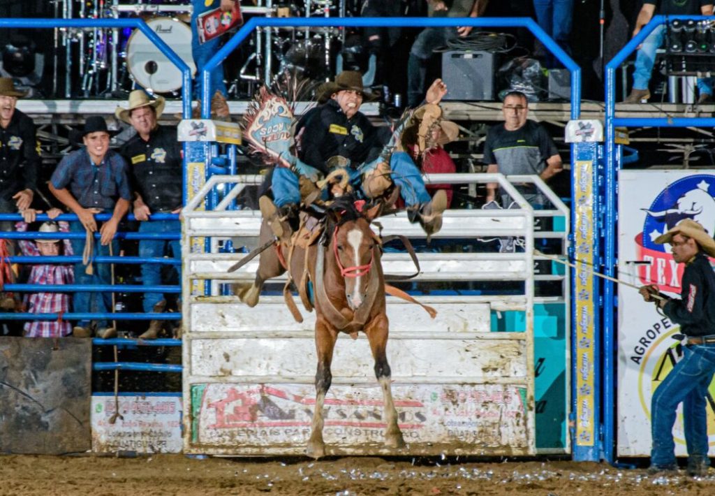 O começo do rodeio no mundo - Cavalus