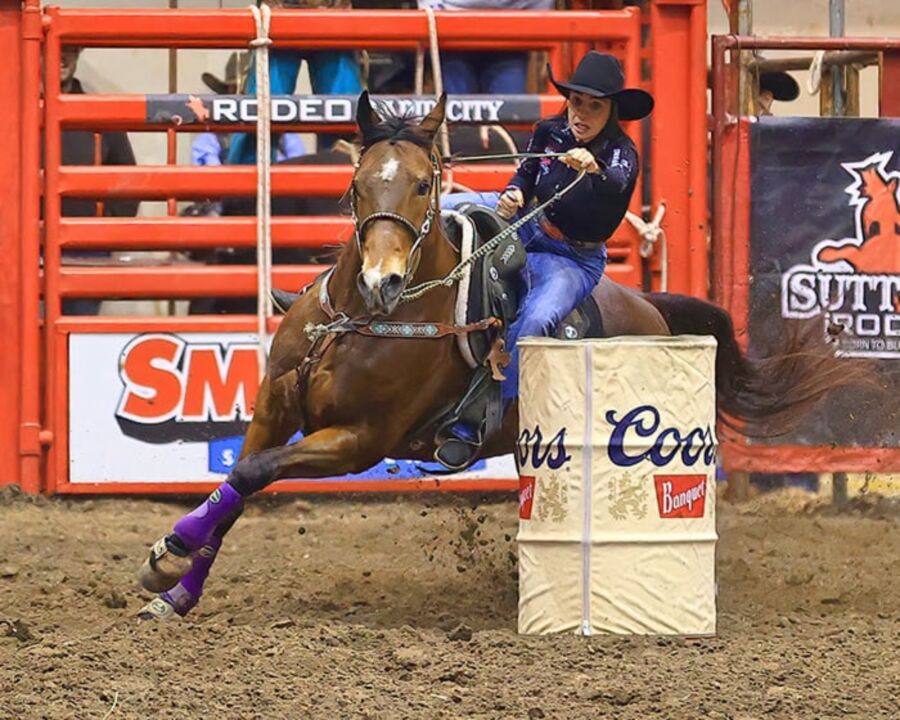 Programa de incentivo Chrome Cash premia Paint Horses no NRHA Futurity 2022