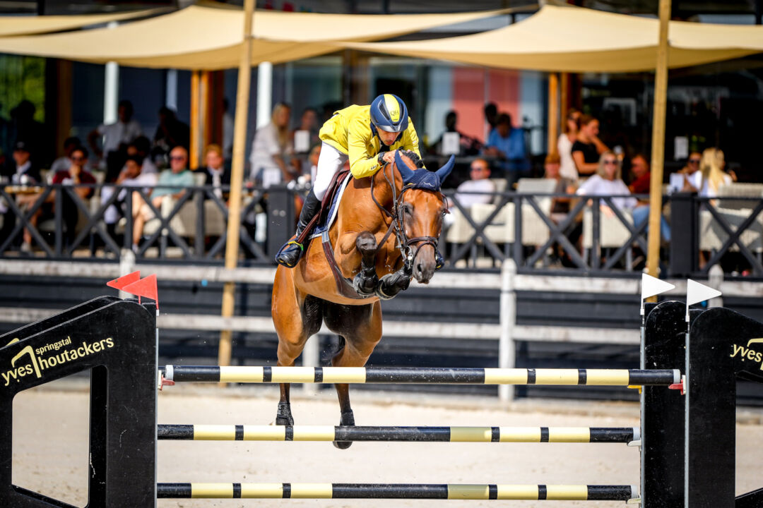 Miss Blue Mystic Rose tem futuro promissor no exterior