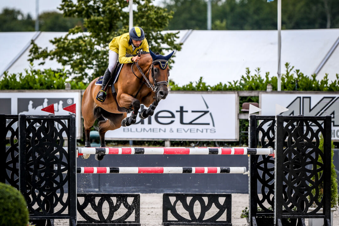 Miss Blue Mystic Rose tem futuro promissor no exterior