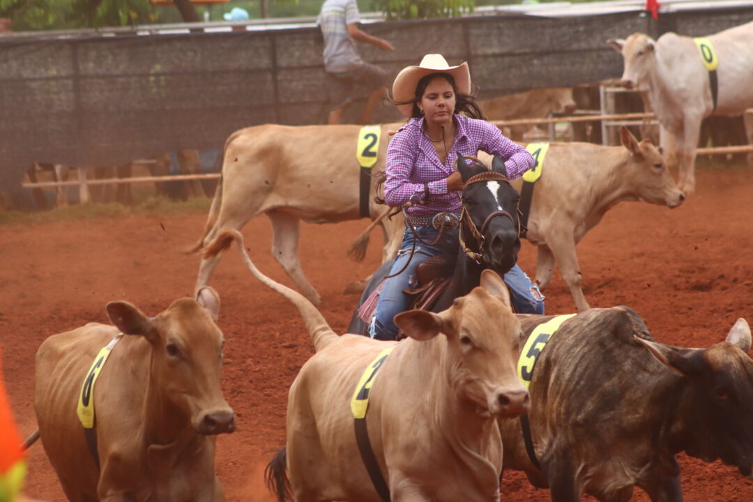 Prova de Team Penning faz história ao distribuir mais de R$ 1 milhão em ...