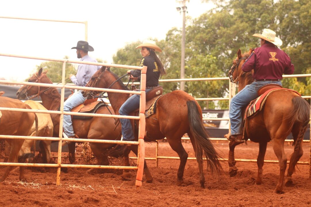 Prova de Team Penning em Barretos irá distribuir mais de R$ 1 milhão em prêmios