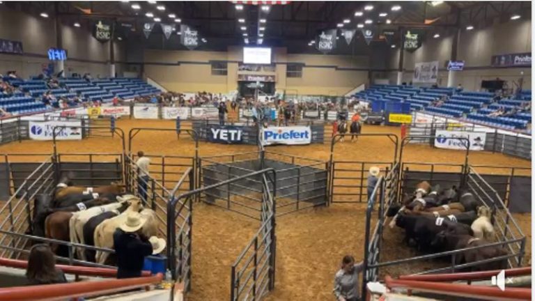 Ranch Sorting: brasileiro vence RSNC World Finals 2023