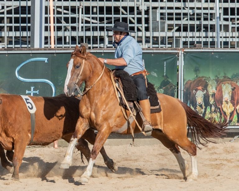 Campereada/Team Penning e Ranch Sorting/Aparta Boi têm novas datas das ...