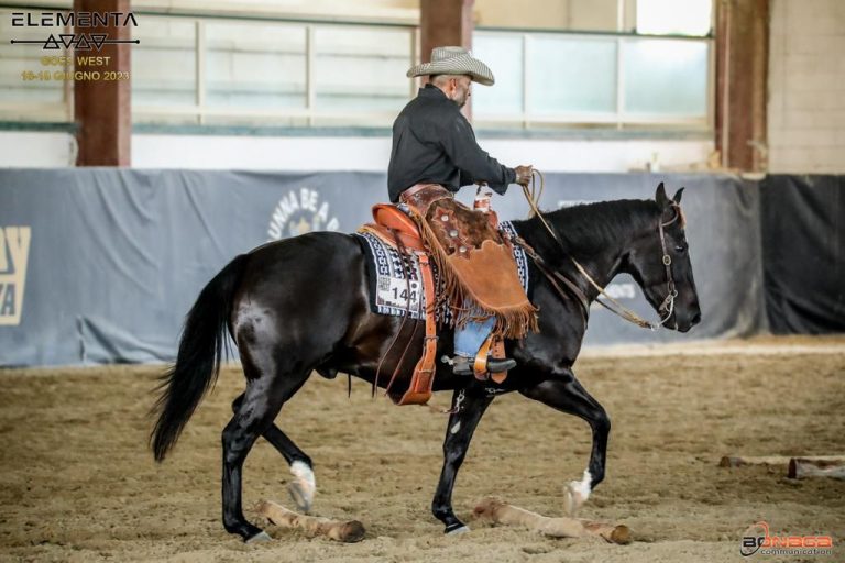 Ranch Riding: treinador brasileiro se classifica pra mundial
