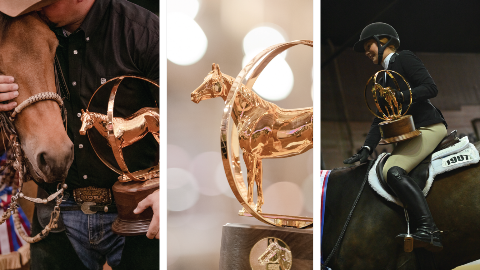 AQHA World Show 2023 já começou com brasileiros nas pistas