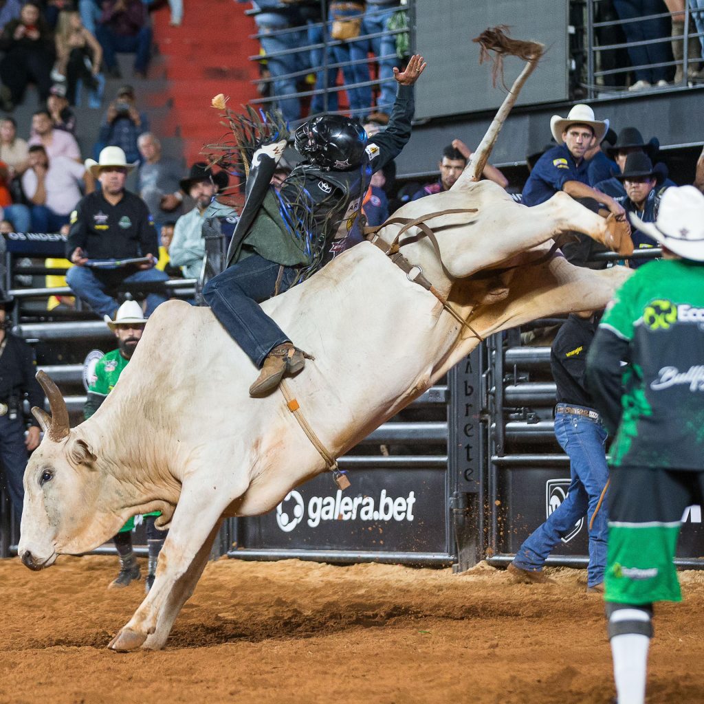 PBR realiza Final Nacional na Festa do Peão de Barretos com quase de ...