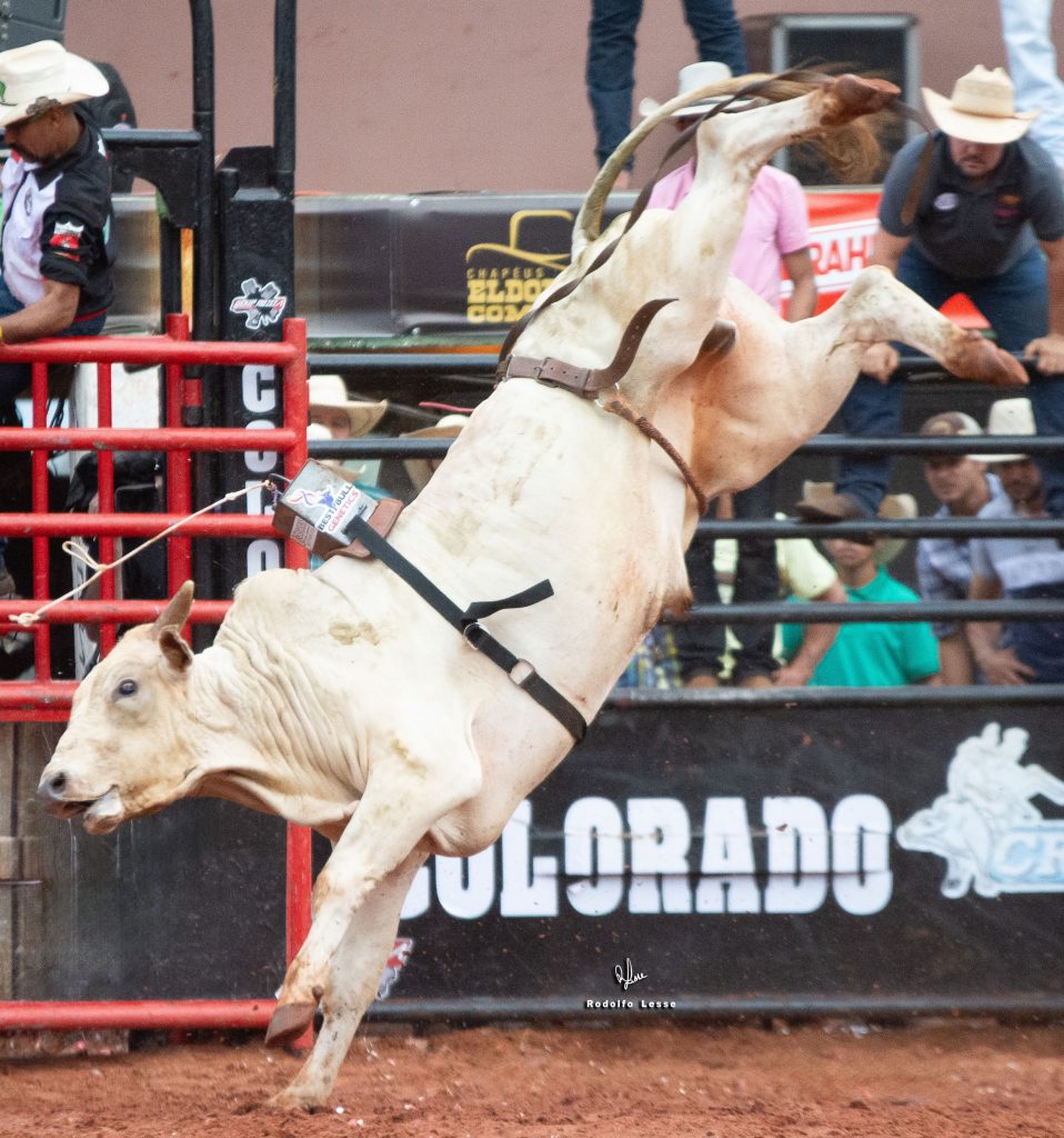 Rodeio de Colorado realiza prova especial da Best Bull Genetics