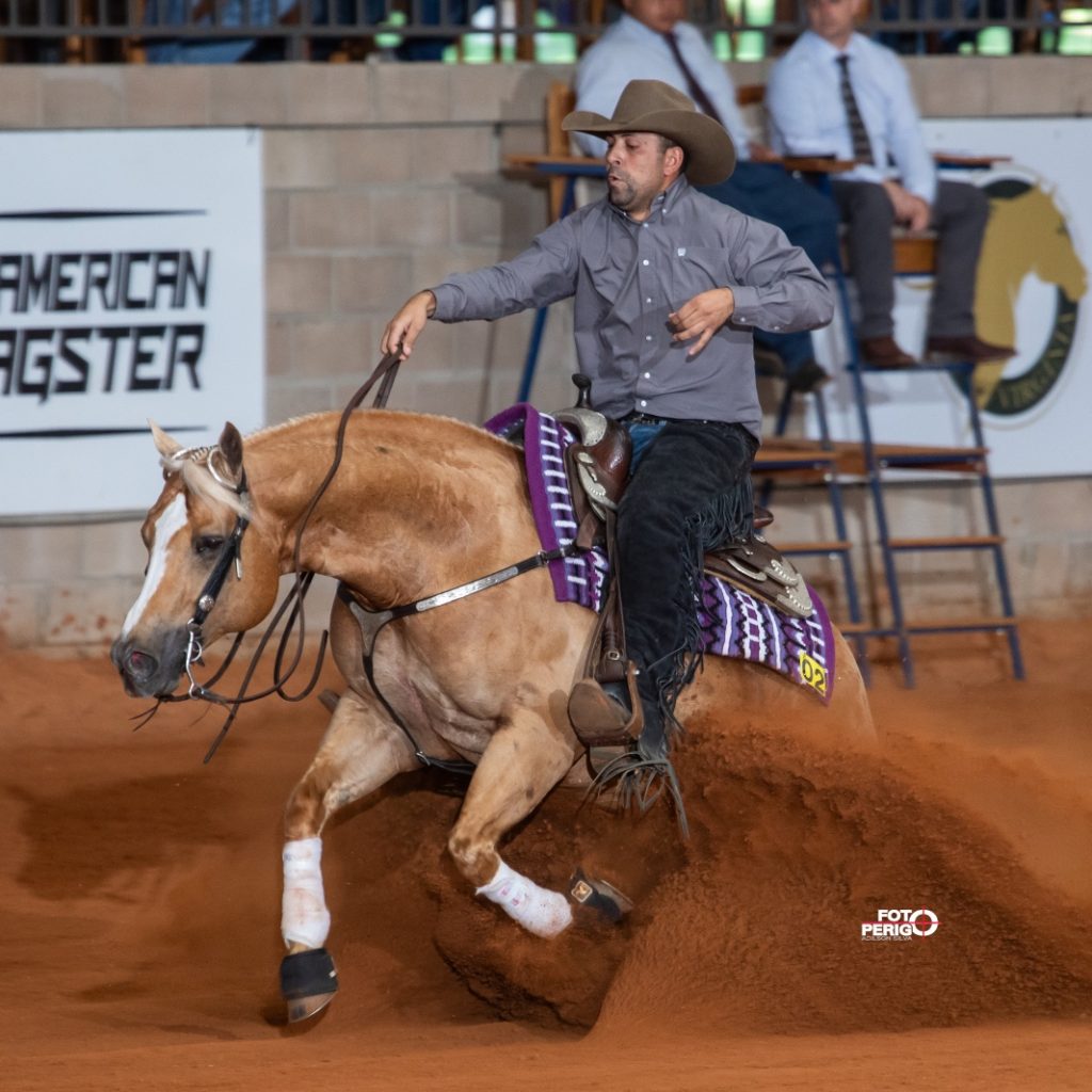 Super Stakes 2025 da modalidade Rédeas realiza grande evento